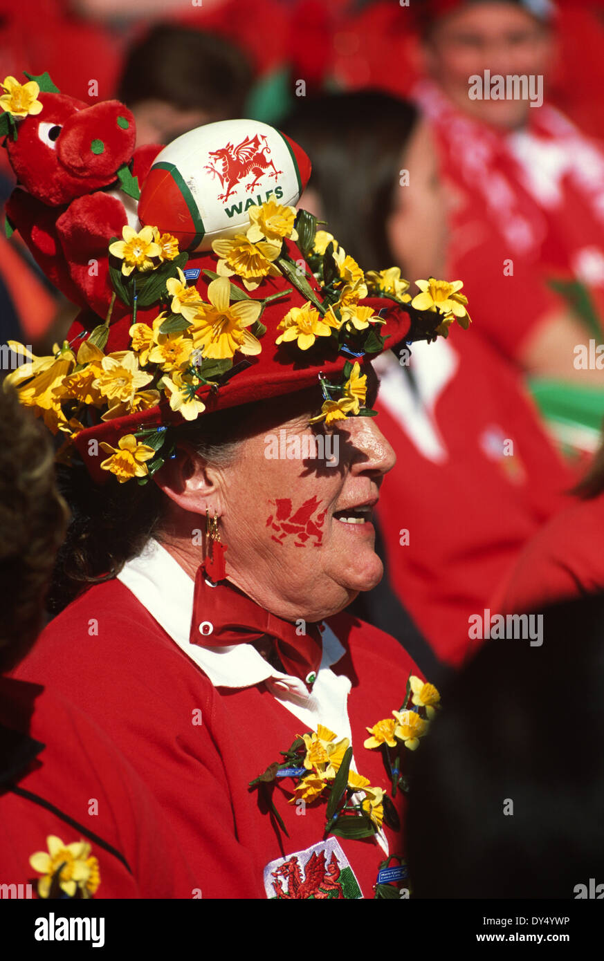 Welsh Rugby Fans support their team in the Millennium Stadium Stock ...
