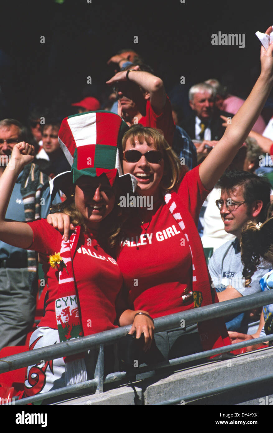 Welsh Rugby Fans support their team in the Millennium Stadium Stock ...