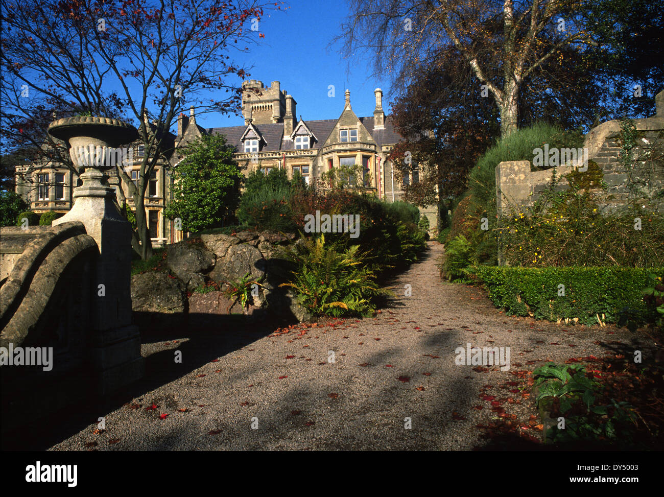 Insole court hi-res stock photography and images - Alamy