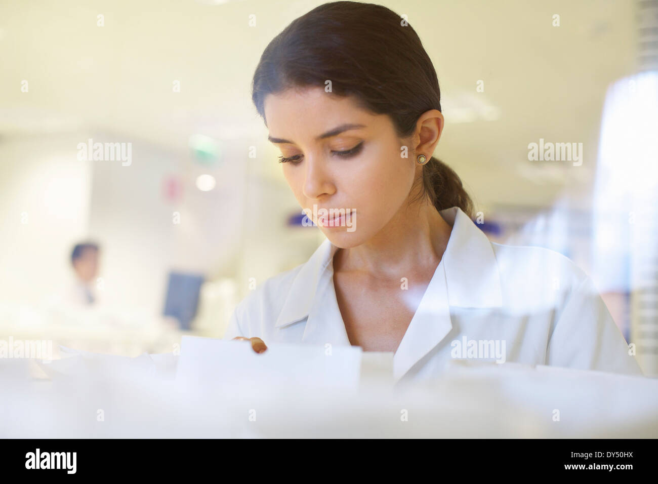Female pharmacist checking prescriptions Stock Photo - Alamy