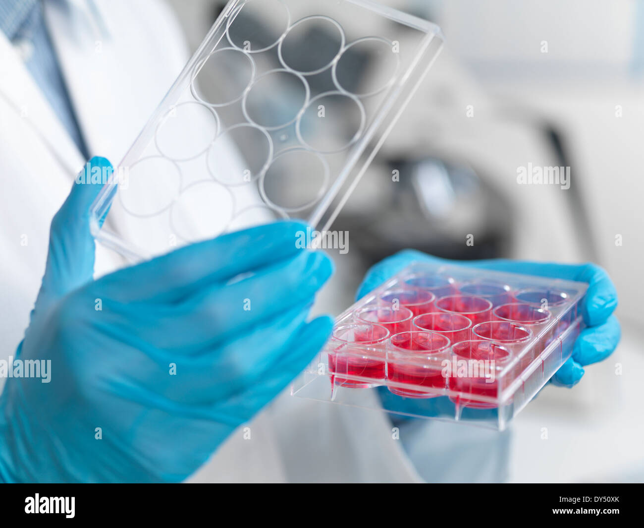 Stem cells hi-res stock photography and images - Alamy