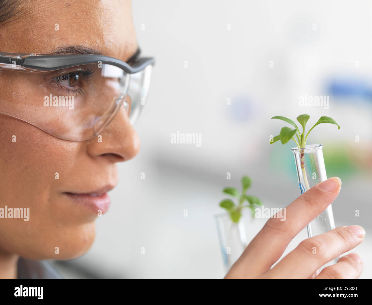 Scientist tests hi-res stock photography and images - Alamy