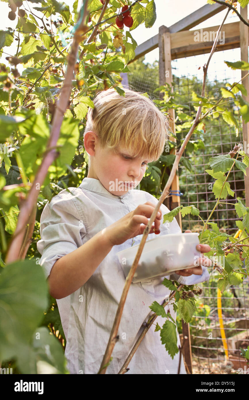 Boy bush hi-res stock photography and images - Alamy