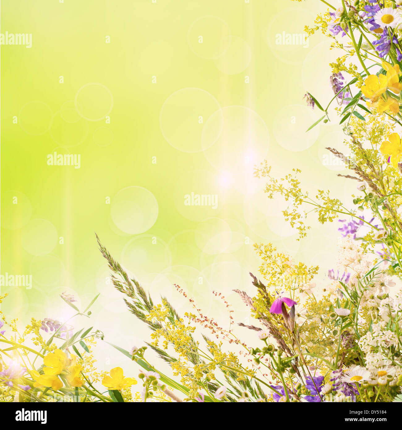 Floral easter background Stock Photo - Alamy