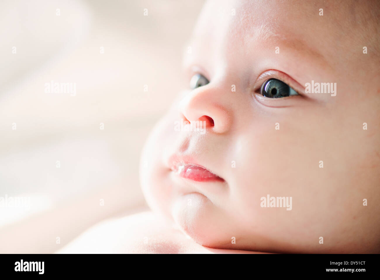 Close up of alert baby boy Stock Photo - Alamy