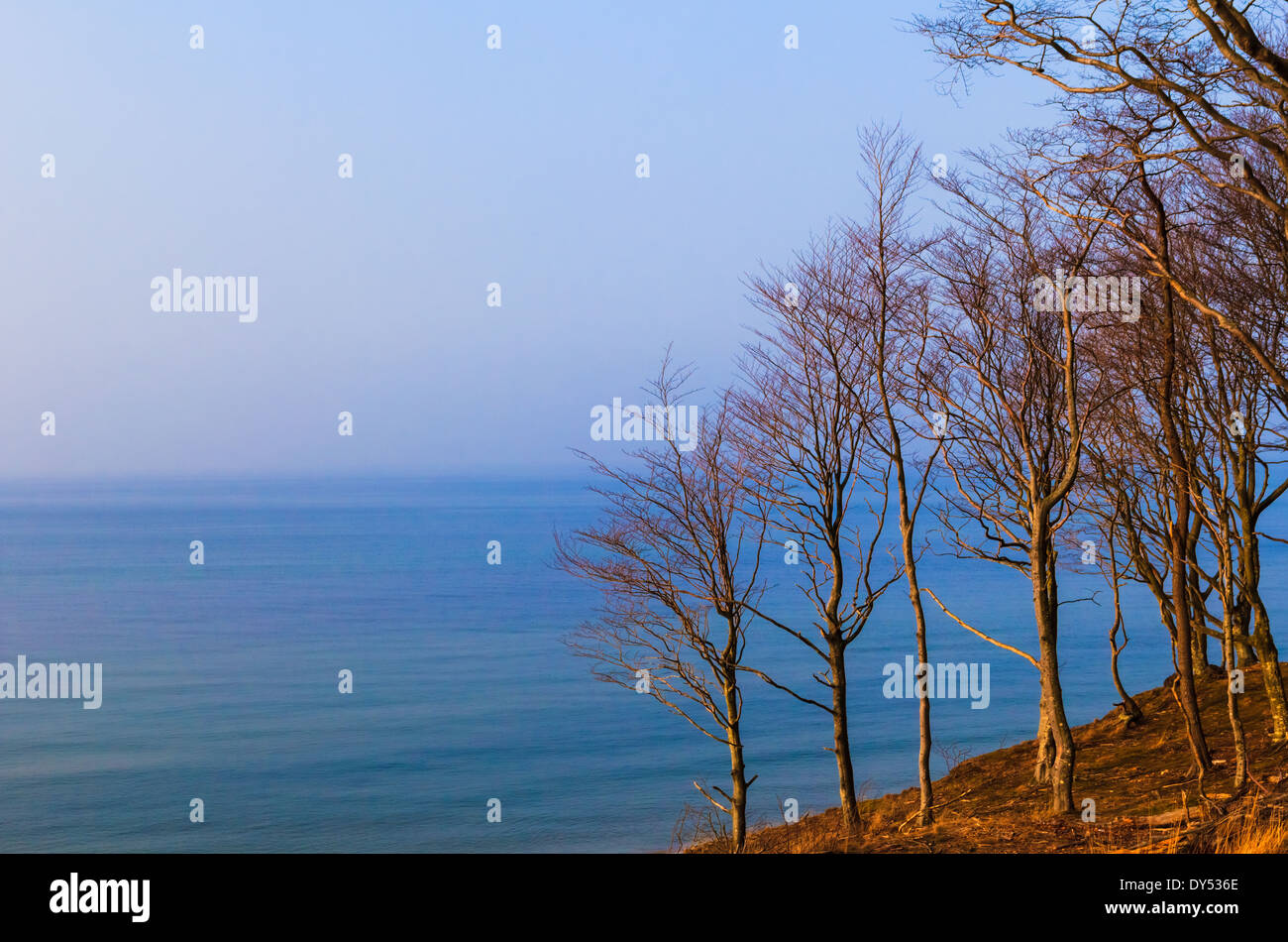 Panorama of the sea with the forest Stock Photo - Alamy
