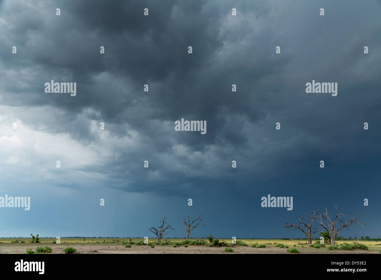 Botswana location hi-res stock photography and images - Alamy