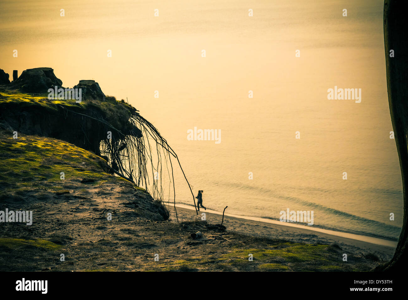 Sea coast after the autumn-spring storms Stock Photo - Alamy