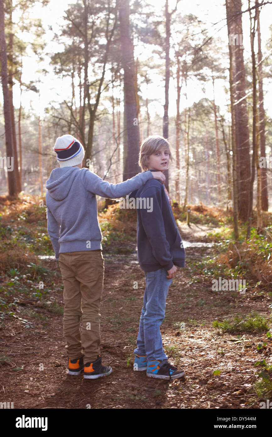 Twin brothers standing together in woods Stock Photo - Alamy