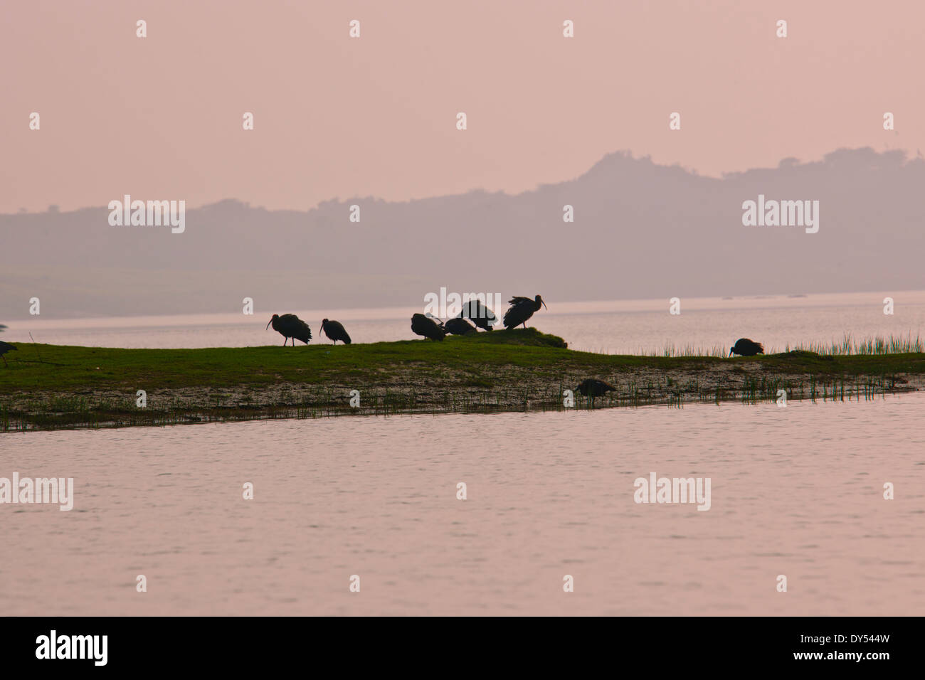 The Chambal River is a tributary to Yamuna River in Central India,forms ...