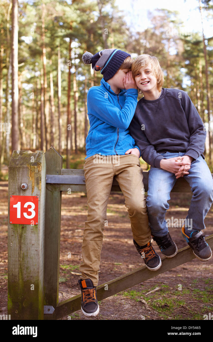 Twin brothers sitting and whispering on gate in forest Stock Photo - Alamy