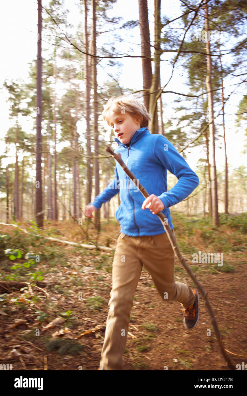 Boy running with a stick in woods Stock Photo - Alamy