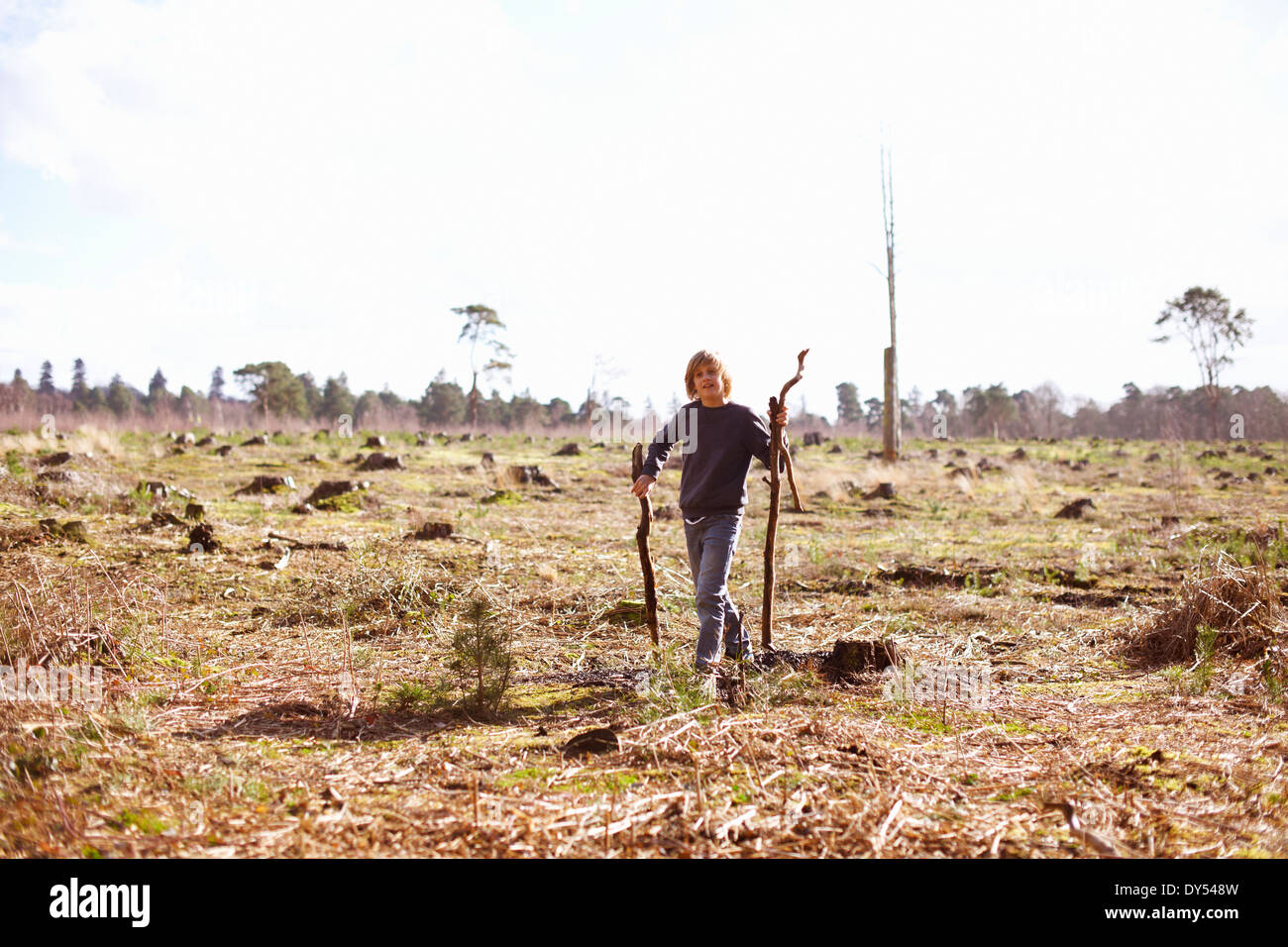 Boy carrying sticks in a plantation clearing Stock Photo - Alamy