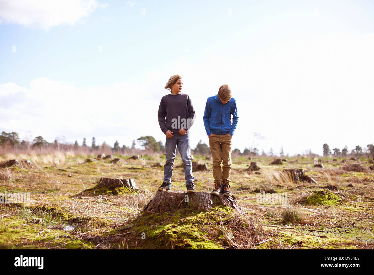 Twin brothers standing on tree stump in forest clearing Stock Photo - Alamy