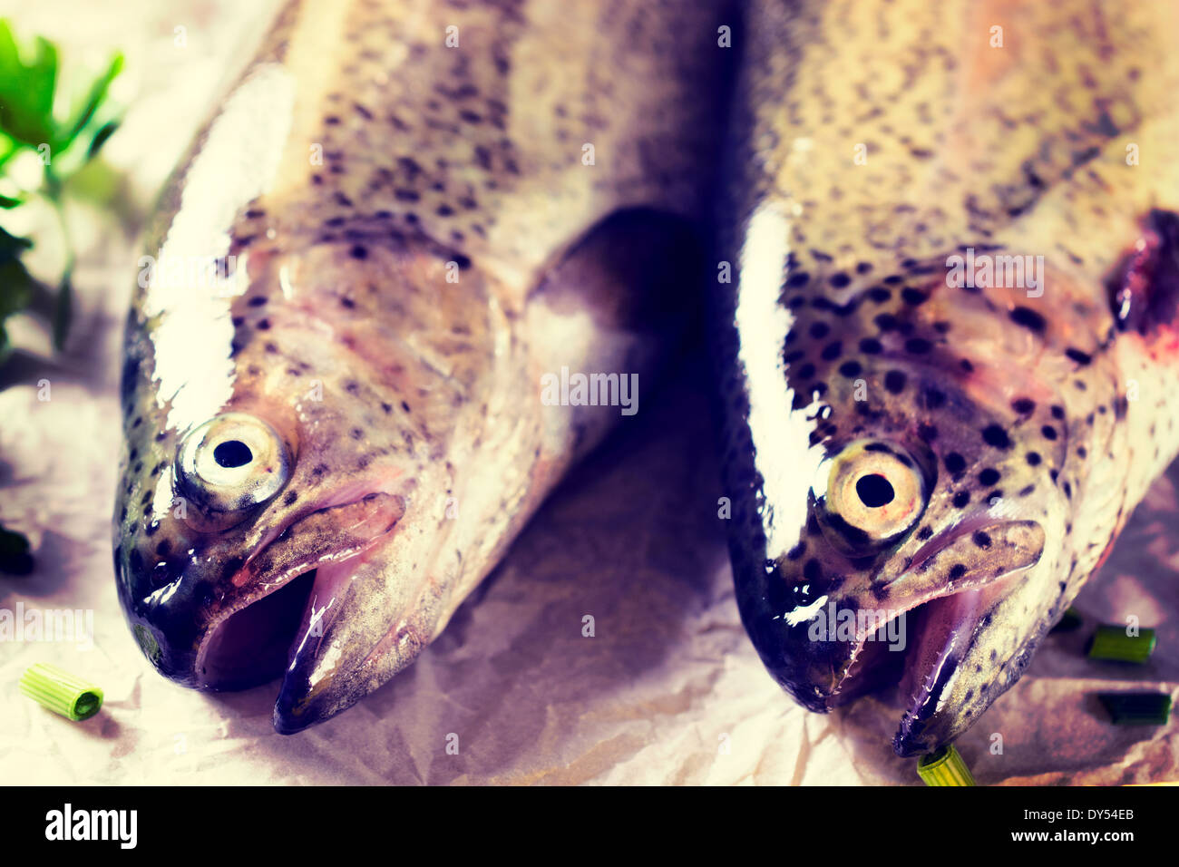 Raw mackerel fish heads on the paper Stock Photo - Alamy