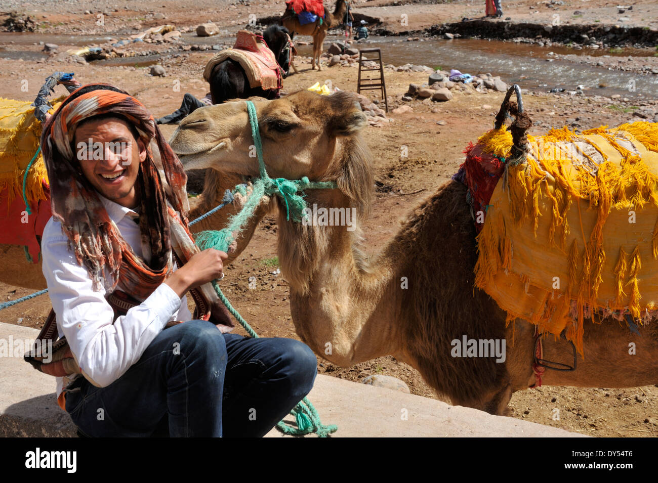 Moroccan Berber man with camel Stock Photo - Alamy