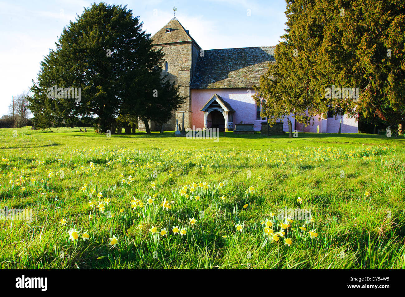 St Mary's Church, Kempley, Gloucestershire with wild daffodils Stock ...