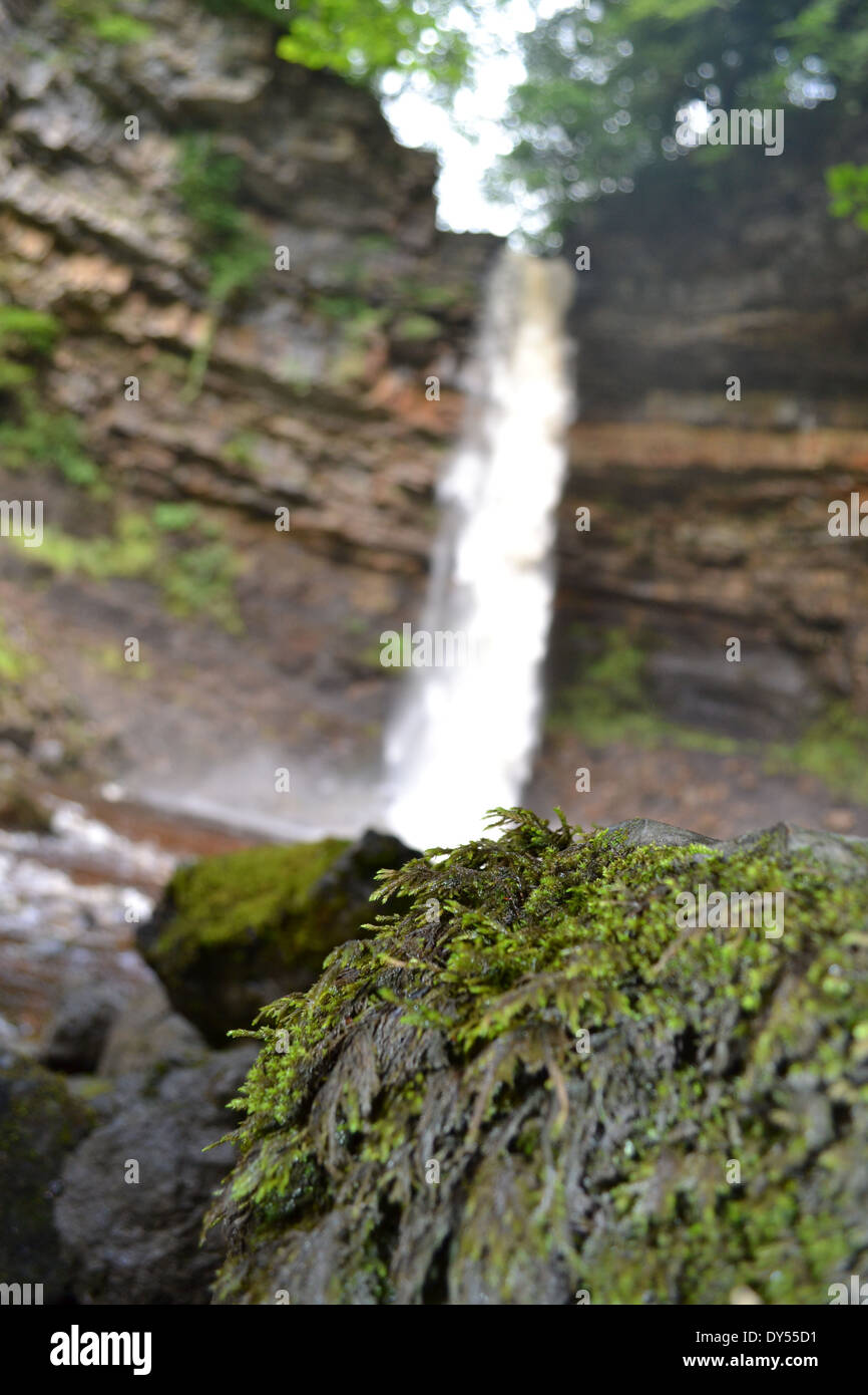 Taken in Hawes, Yorkshire in August 2013, a stunning waterfall hidden ...