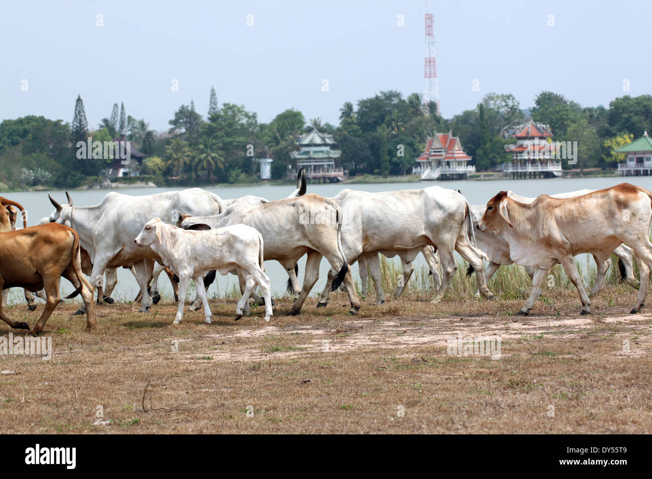 Rural farm area hi-res stock photography and images - Alamy