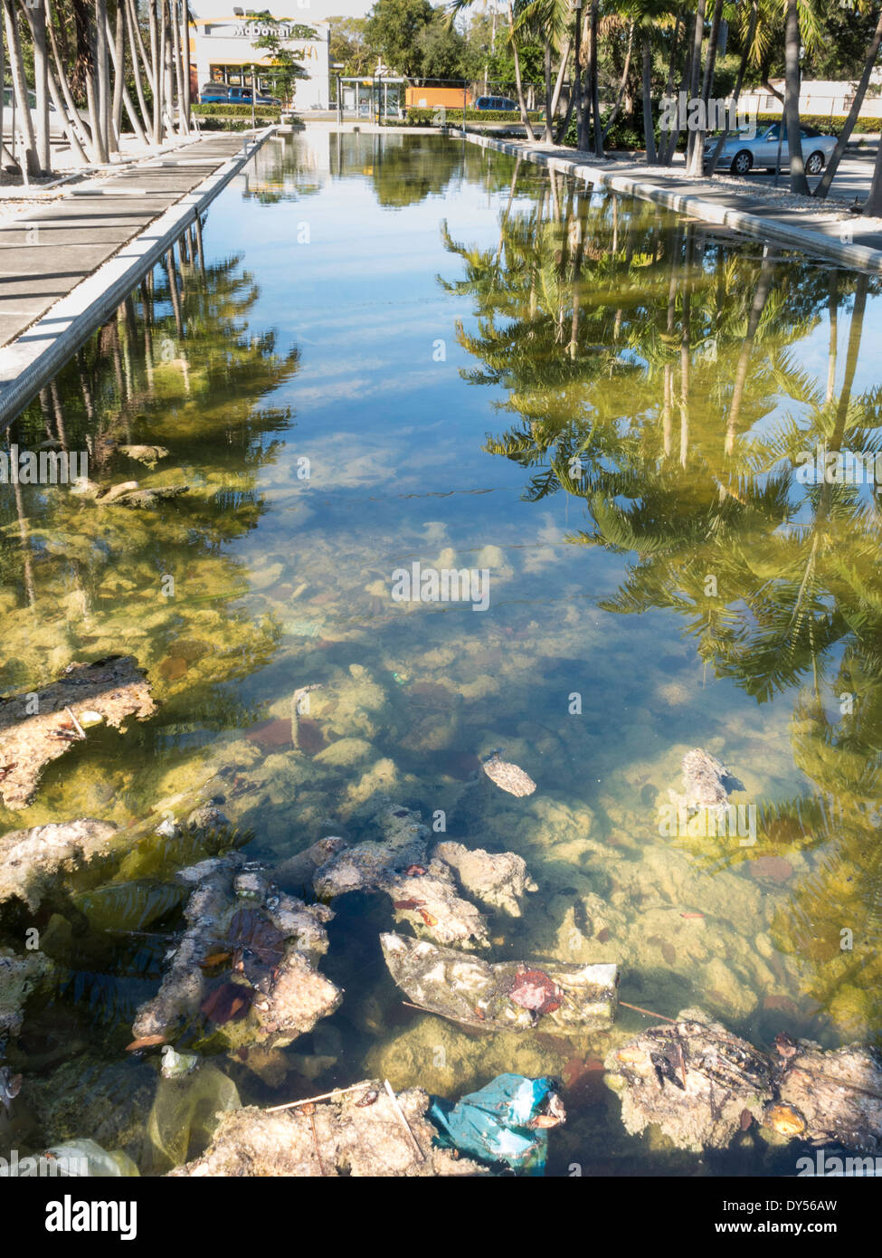 Dirty Reflecting Pool at Abandoned Pan American Airlines Training ...
