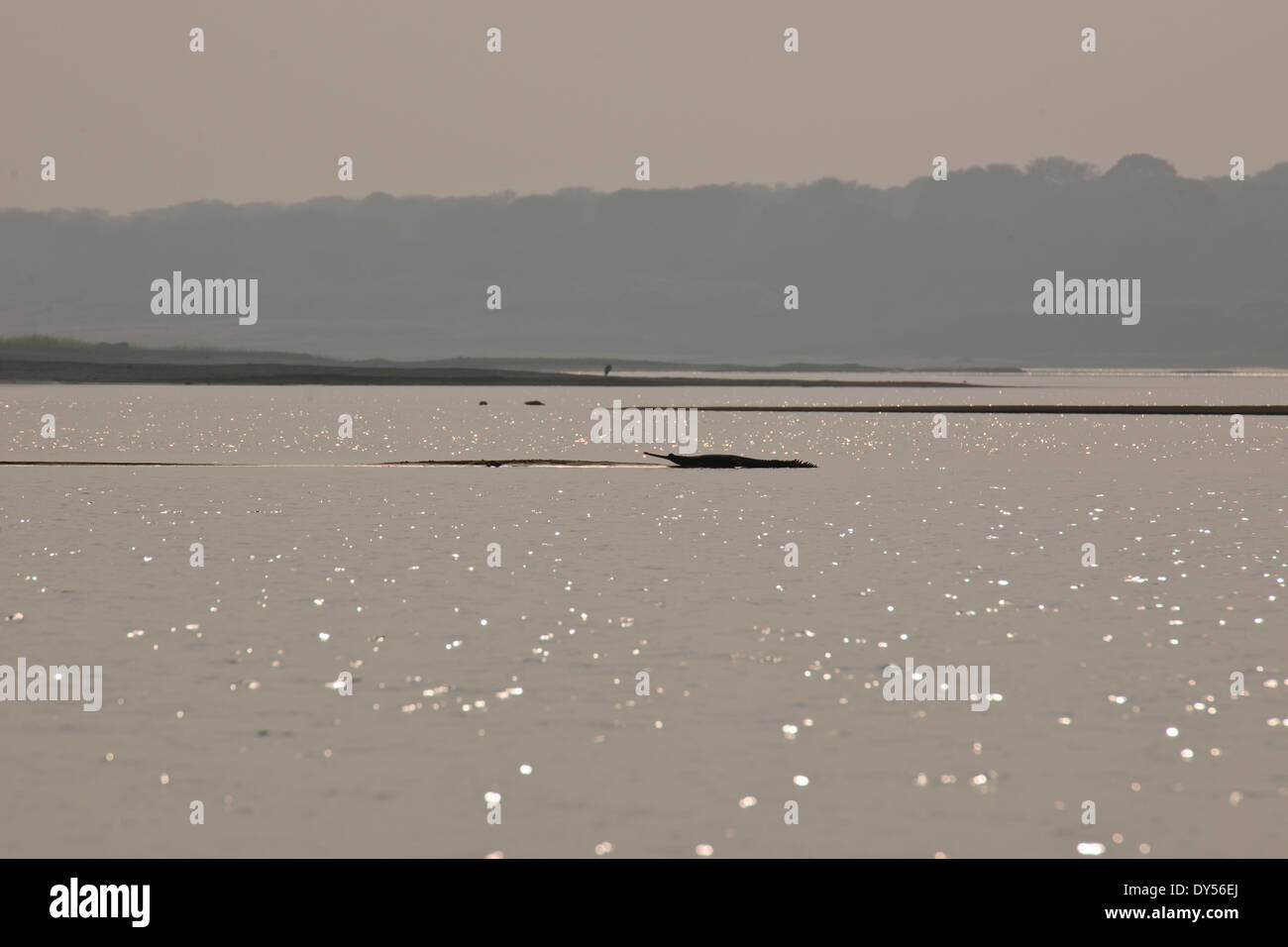 Chambal river tributary yamuna river hi-res stock photography and ...