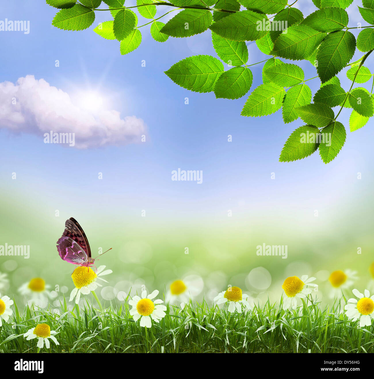 Abstract nature background hi-res stock photography and images - Alamy
