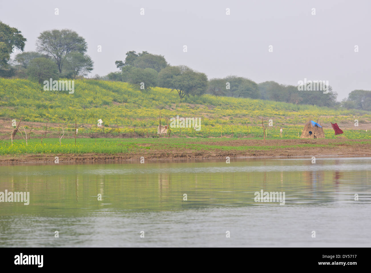 The Chambal River is a tributary to Yamuna River in Central India,forms ...