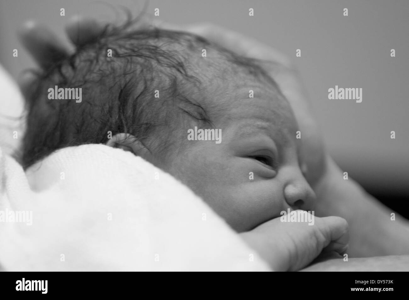 Black and white photo of newborn baby girl wrapped in a blanket being ...