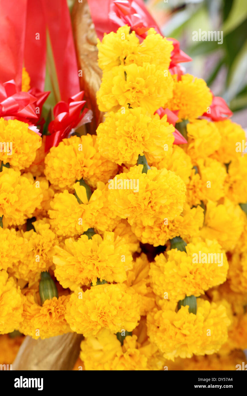 Bouquet of marigold in their worshipers Stock Photo - Alamy
