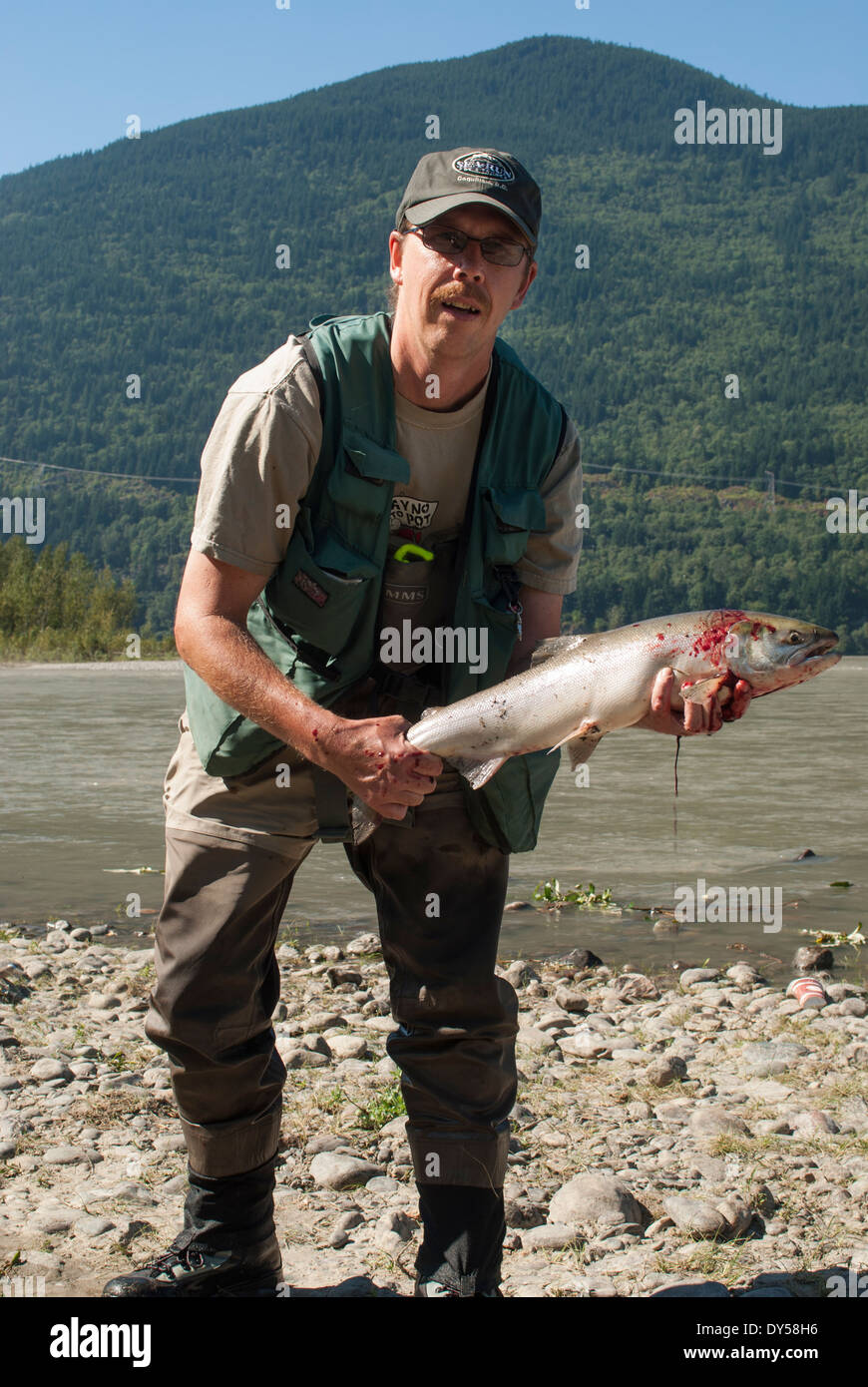 Fraser river canada salmon hi-res stock photography and images - Alamy