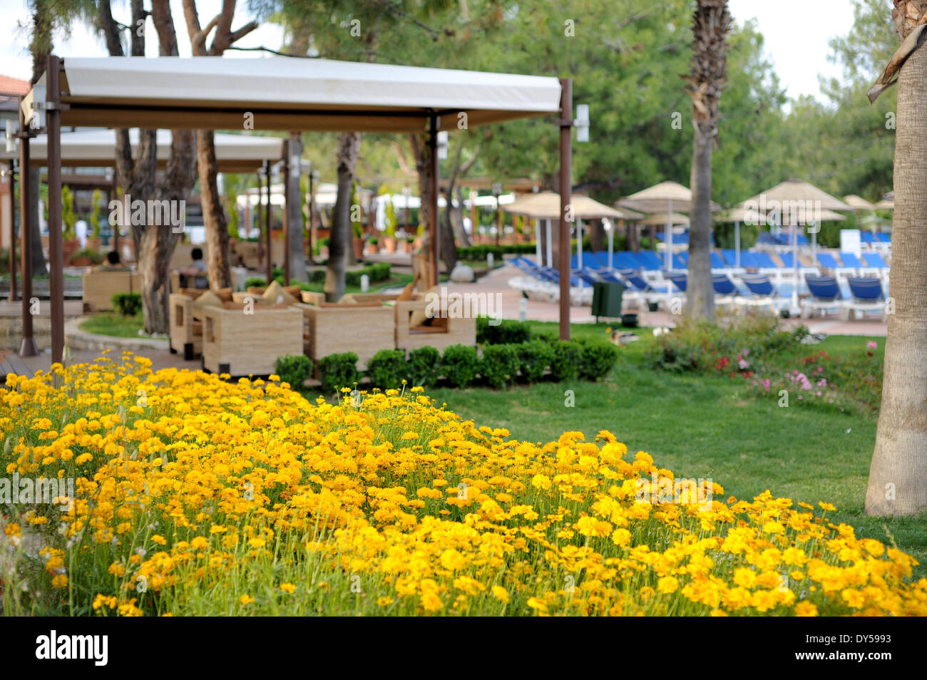 Turkish resort view with beautiful yellow flowers Stock Photo - Alamy