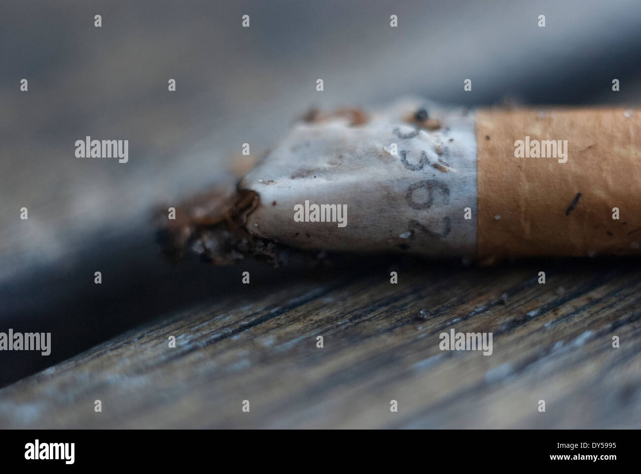 Macro cigarette butt Stock Photo - Alamy