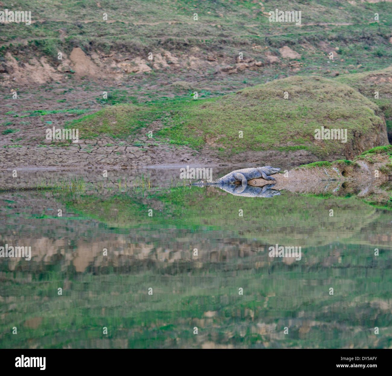 Tributaries Of Yamuna