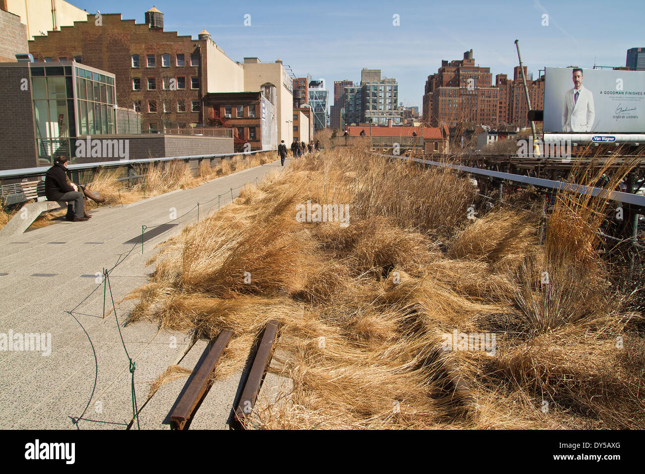 Winter's day on the High Line in New York Stock Photo - Alamy