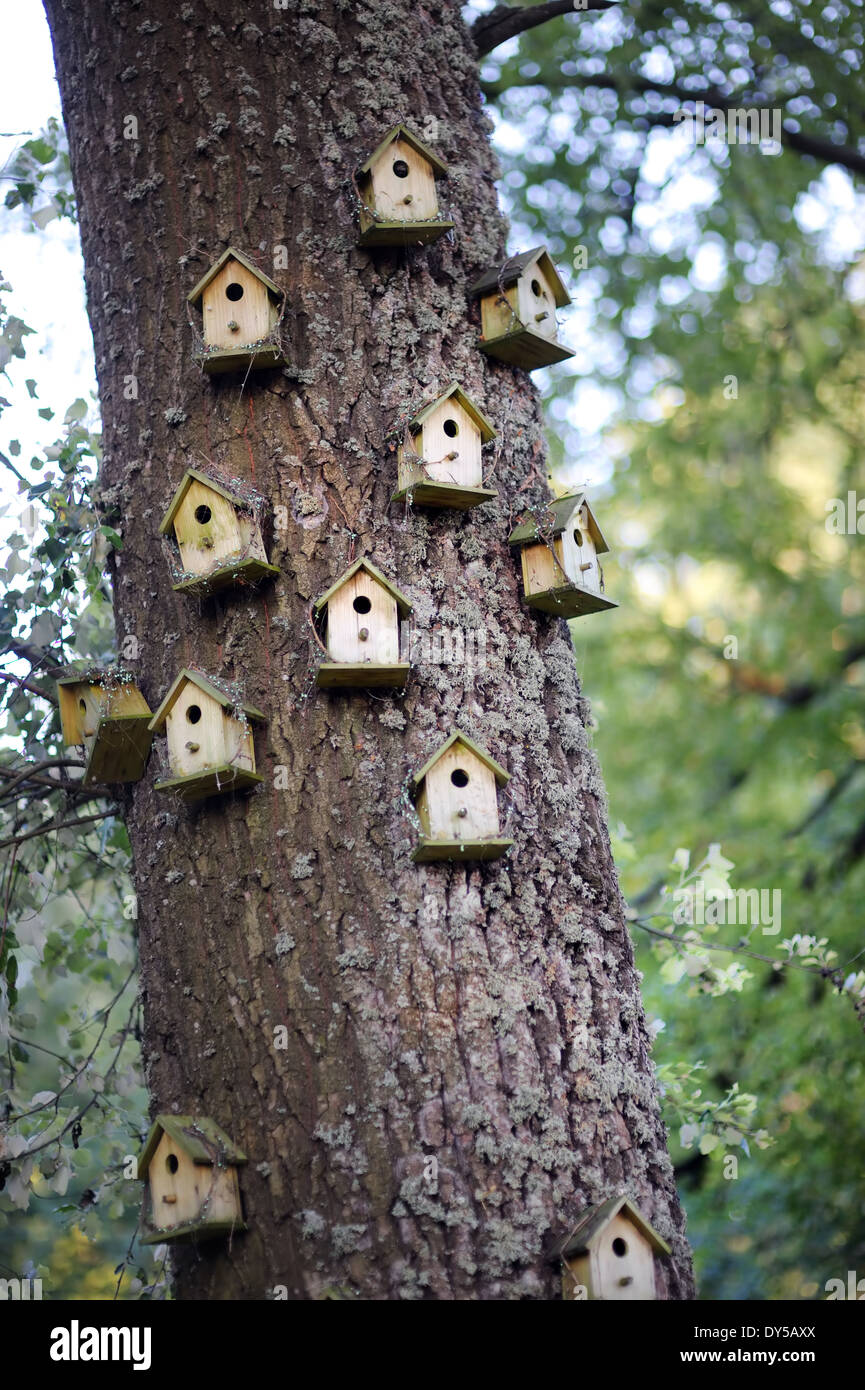 Lots of decorative nesting boxes on a tree Stock Photo - Alamy