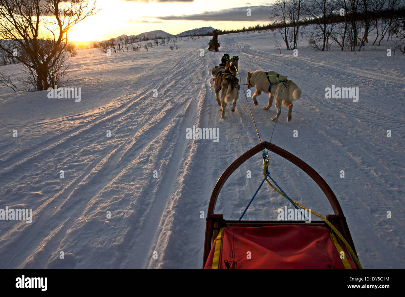 Sleds pulled hi-res stock photography and images - Alamy