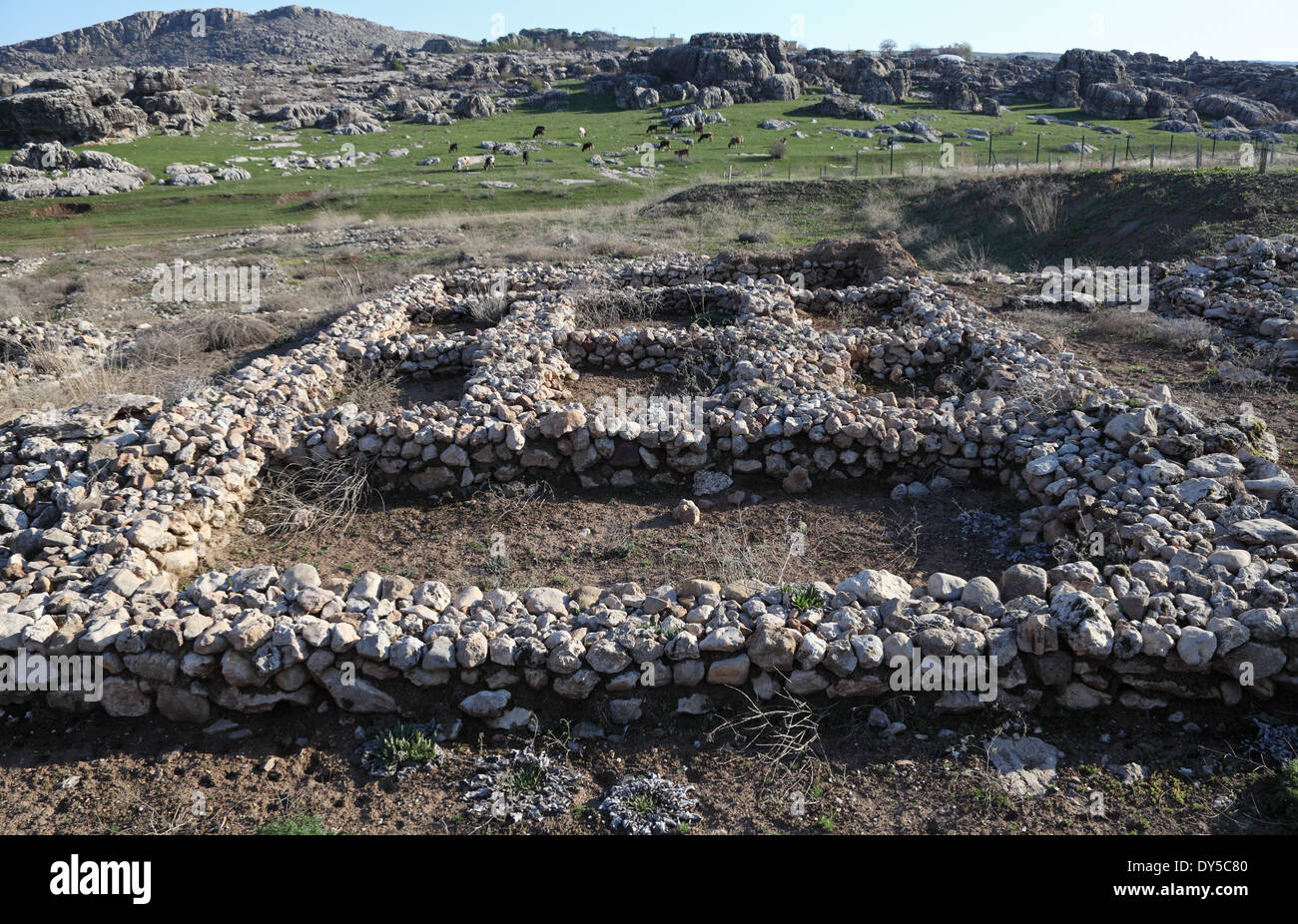 Cayonu early neolithic settlement, Ergani, Diyarbakir, south east ...