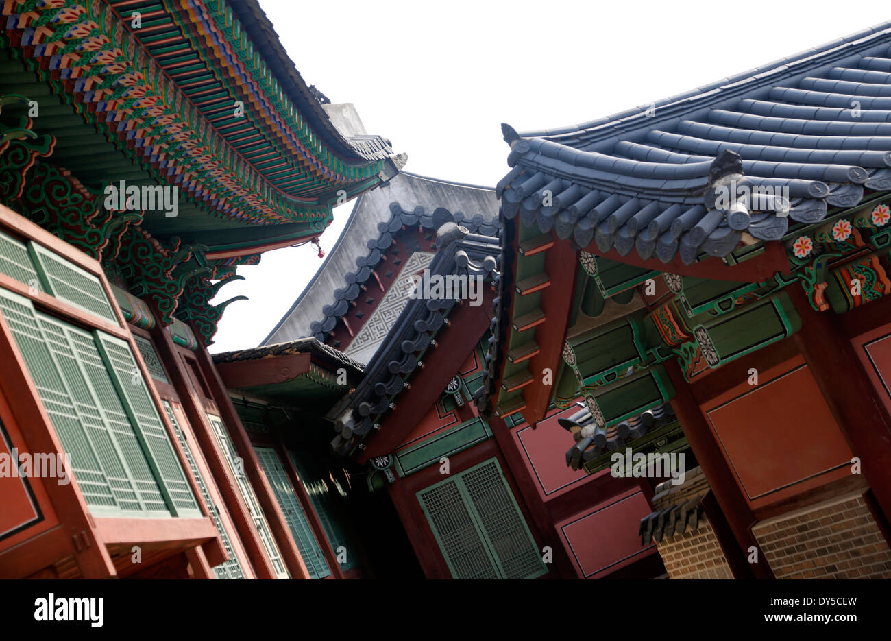 Joseon dynasty seoul south korea old palace tree wall tradition hi-res ...