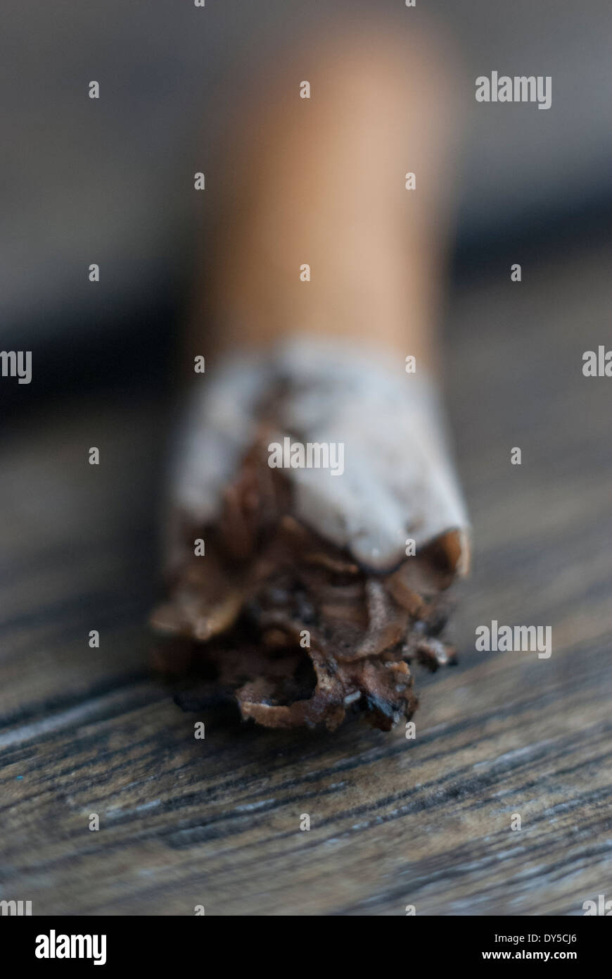 Macro cigarette butt Stock Photo - Alamy
