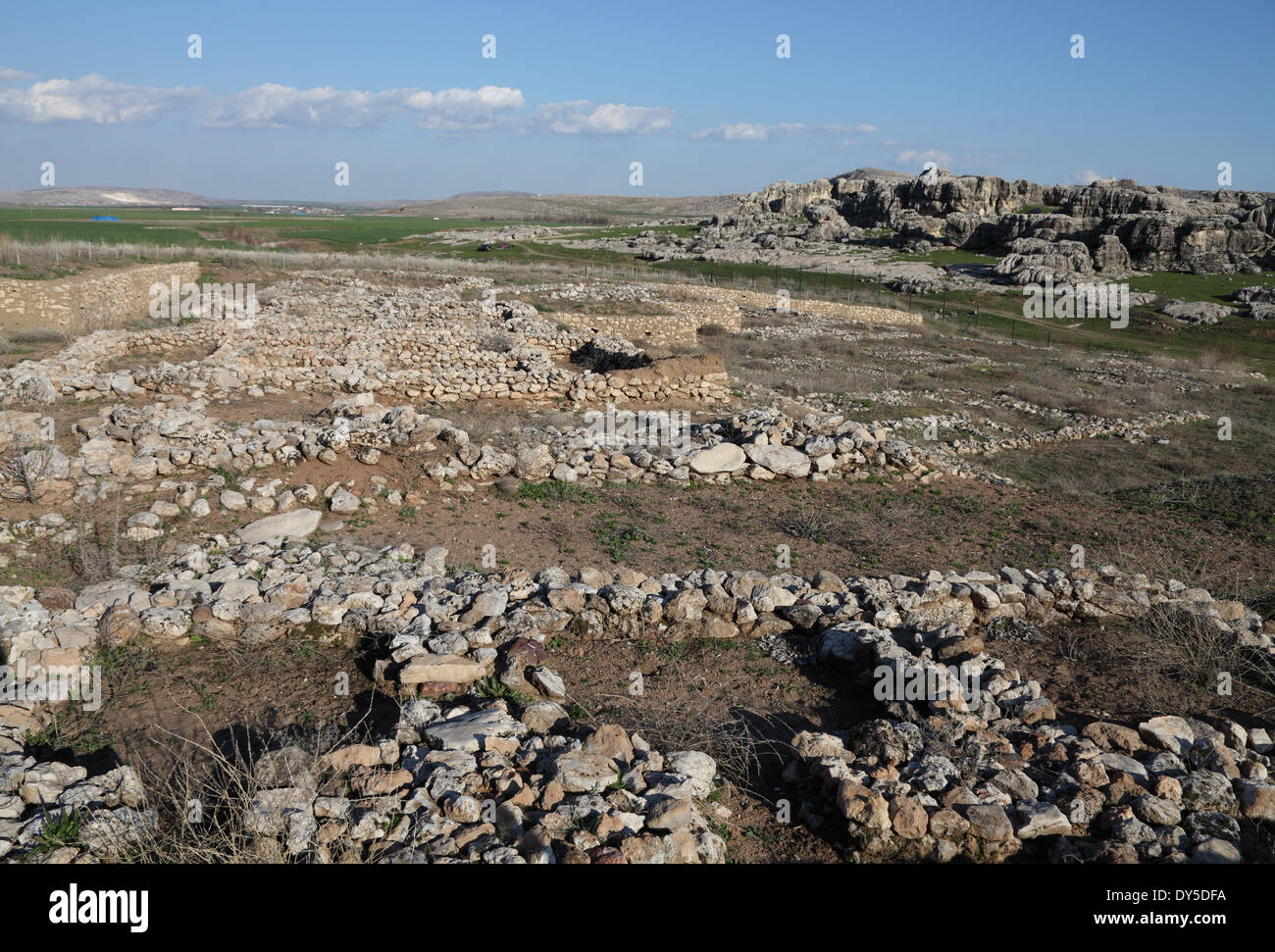 Mesolithic settlement hi-res stock photography and images - Alamy