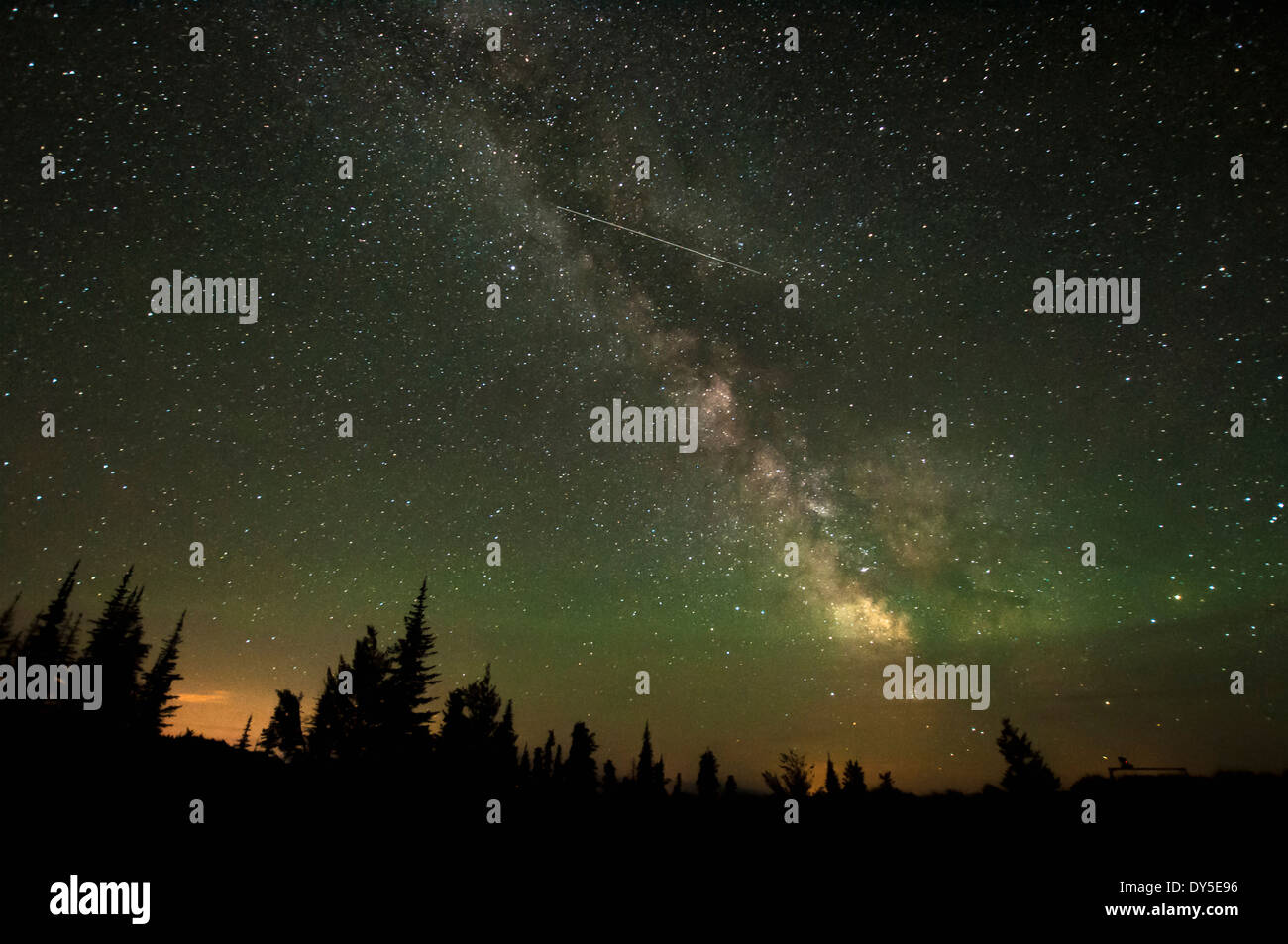 Shooting star tree hi-res stock photography and images - Alamy