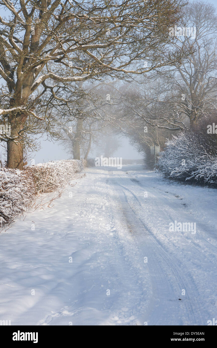 Compacted Snow High Resolution Stock Photography and Images - Alamy