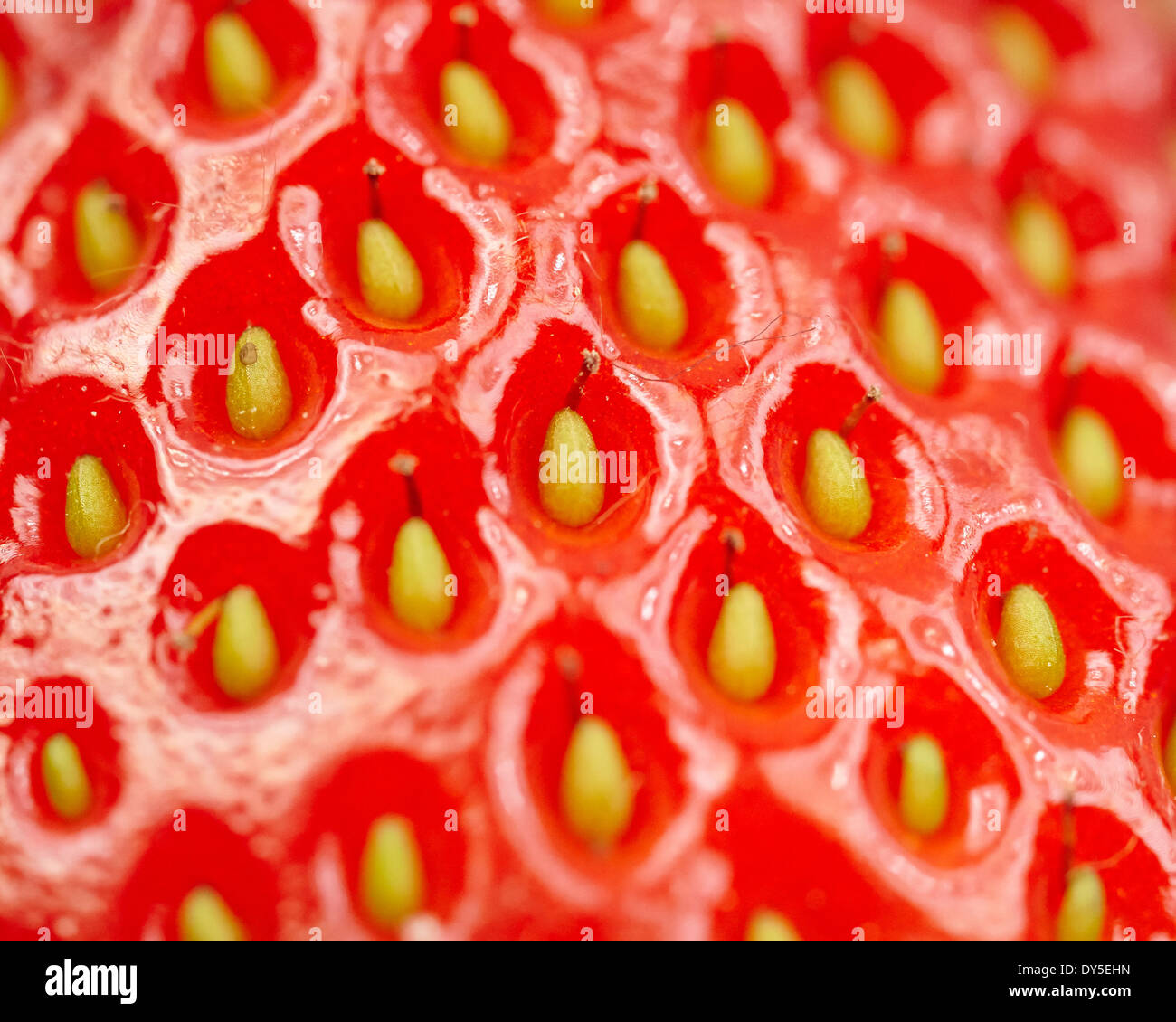 Strawberry seeds up close hi-res stock photography and images - Alamy