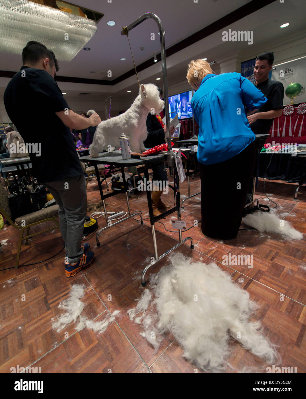 East Rutherford, New Jersey, USA. 05th Apr, 2014. Groomers compete at ...