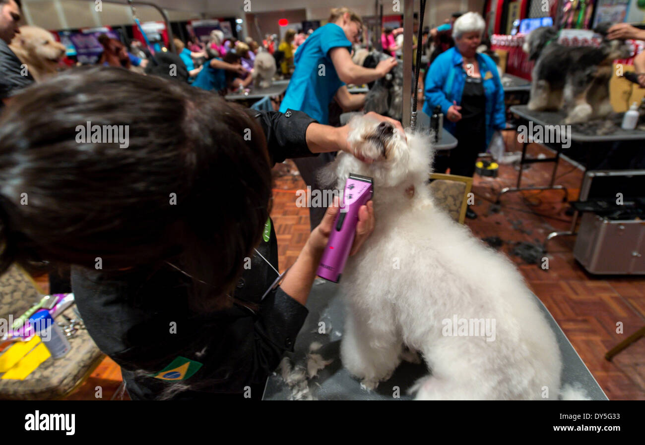 East Rutherford, New Jersey, USA. 05th Apr, 2014. Groomers compete at ...