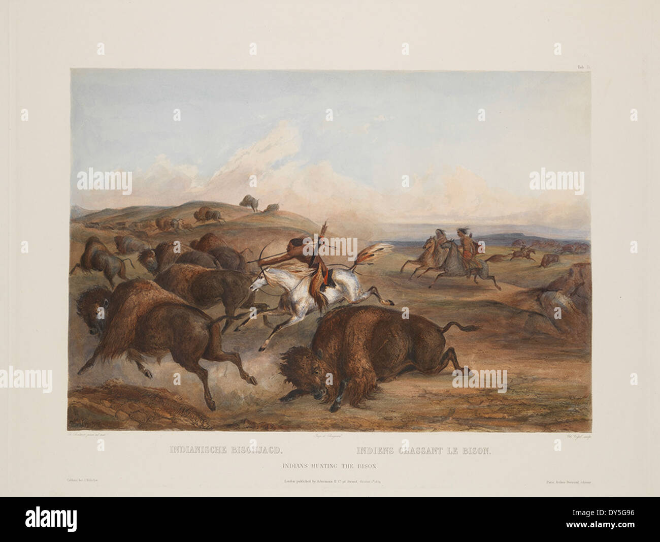 Bisonhunting hi-res stock photography and images - Alamy