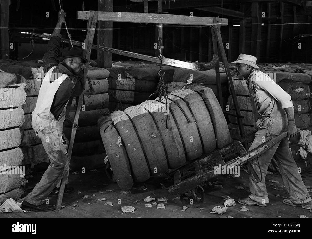 The image shows workers weighing bales of cotton at the South Texas ...