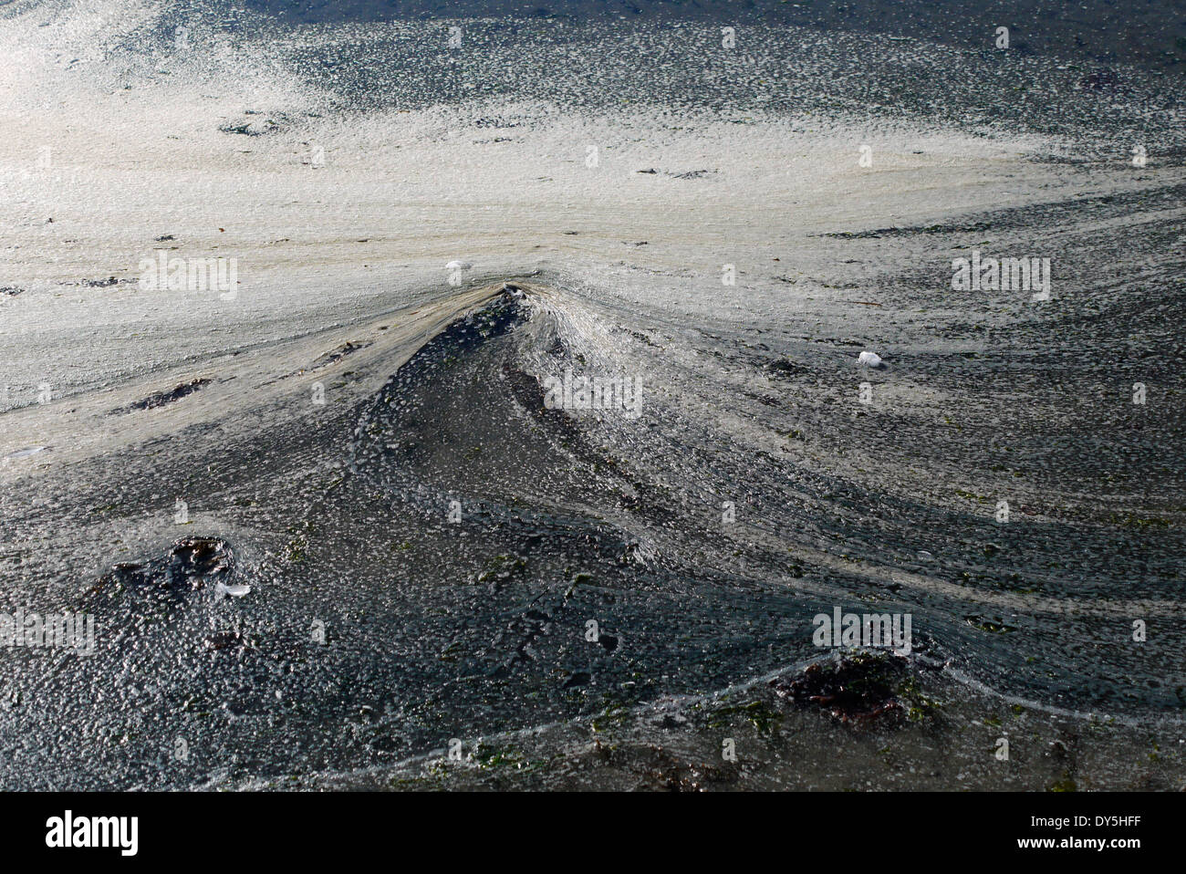 Scum on water hi-res stock photography and images - Alamy