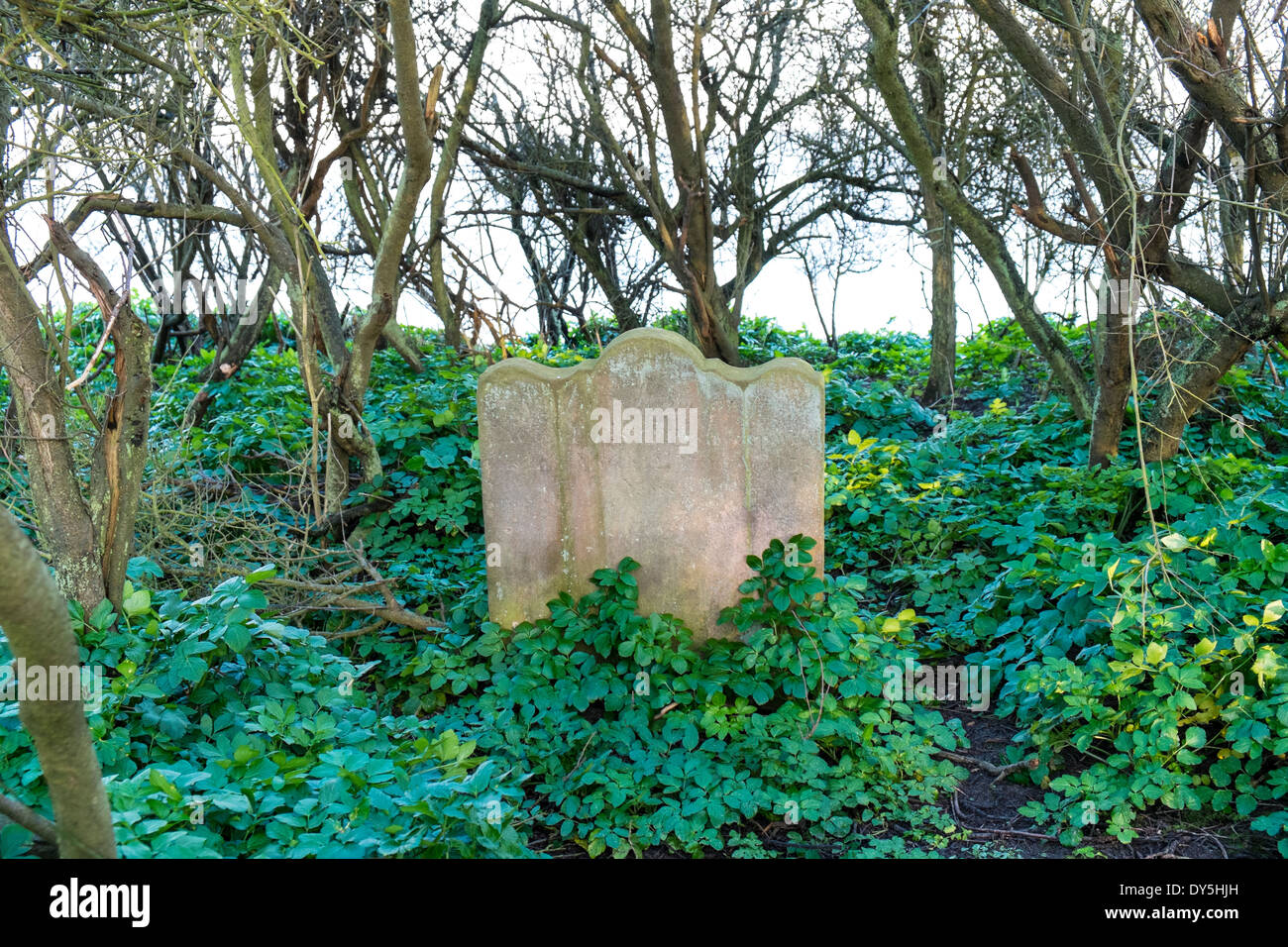 Gravestone hi-res stock photography and images - Alamy