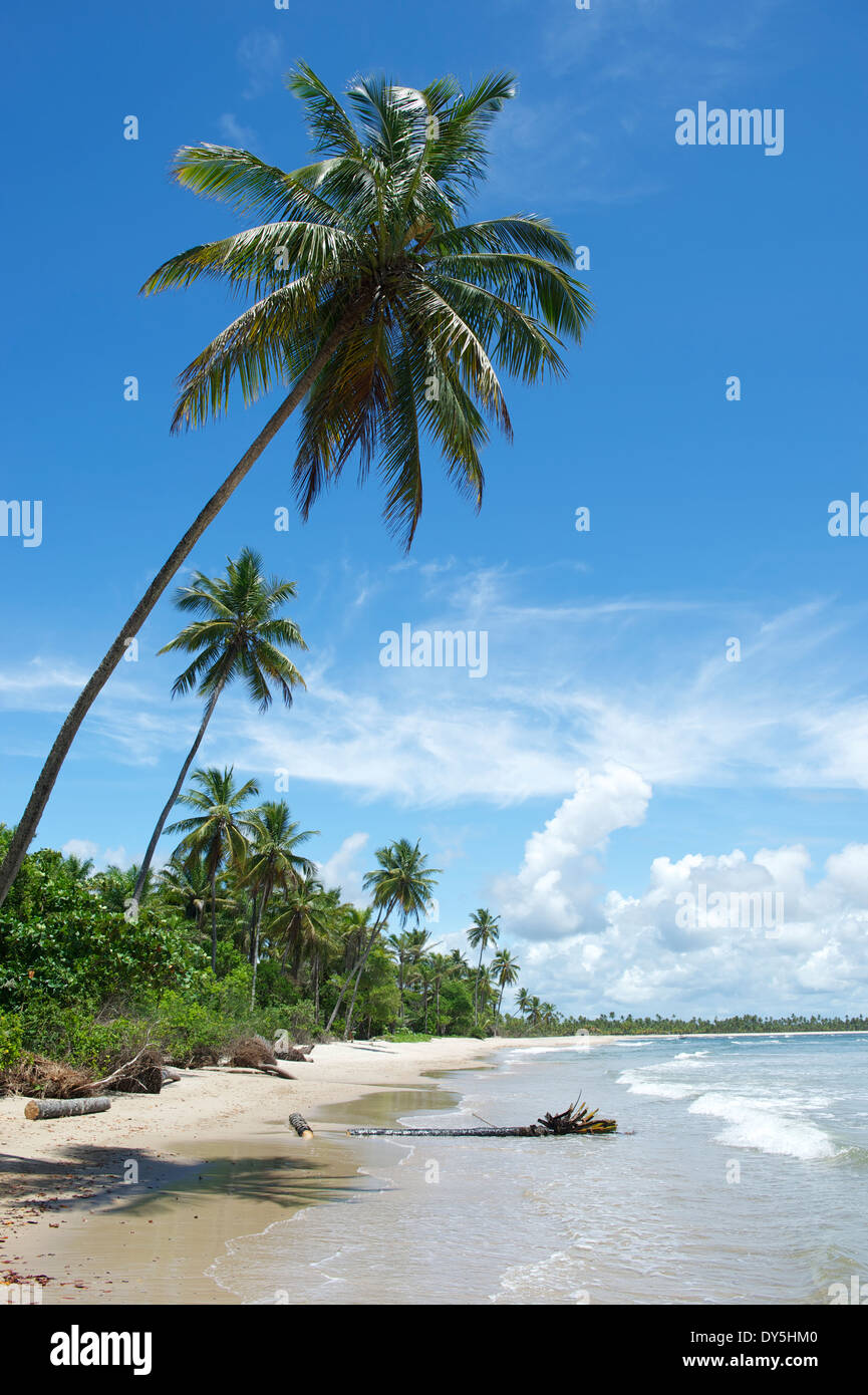 Empty palm hi-res stock photography and images - Alamy